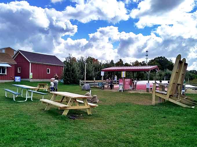 Picnic tables and play areas provide perfect spots for families to rest and refuel between farm adventures.