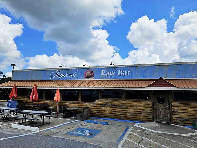 Shipwreck Raw Bar delivers exactly what its name promises &ndash; the ocean's bounty served with minimal fuss and maximum flavor.