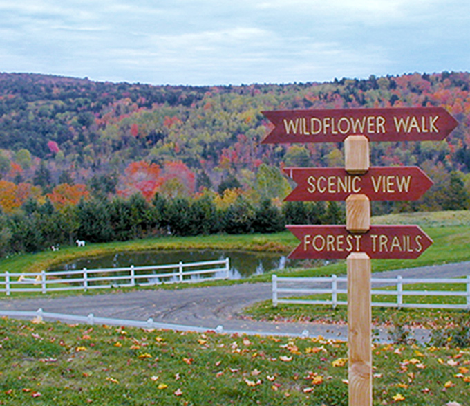 Rustic wooden signs point visitors toward adventures &ndash; "Wildflower Walk," "Scenic View," and "Forest Trails" &ndash; promising discoveries around every corner.