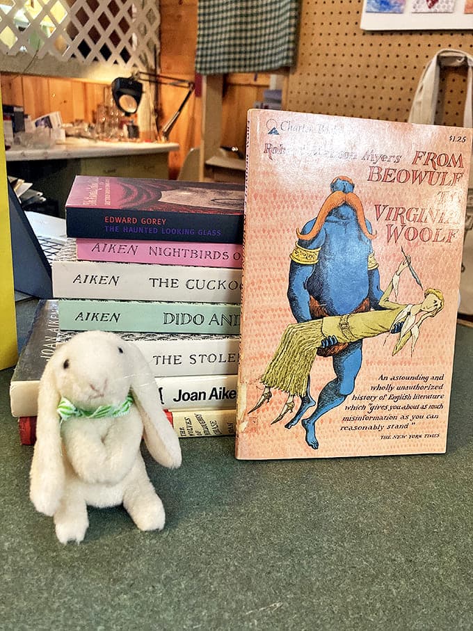 A small stuffed bunny stands guard over a collection of classic literature, adding whimsy to the thoughtfully arranged book displays.