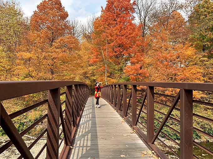 Walking paths through fall foliage are basically therapy sessions that don't require appointments or co-pays.