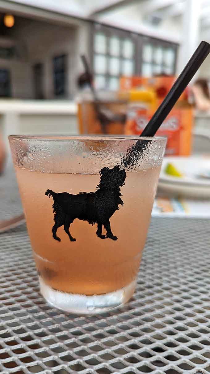 Even the cocktails get the signature Stray Dog treatment, served in glasses with that adorable dog logo that makes everything taste better.