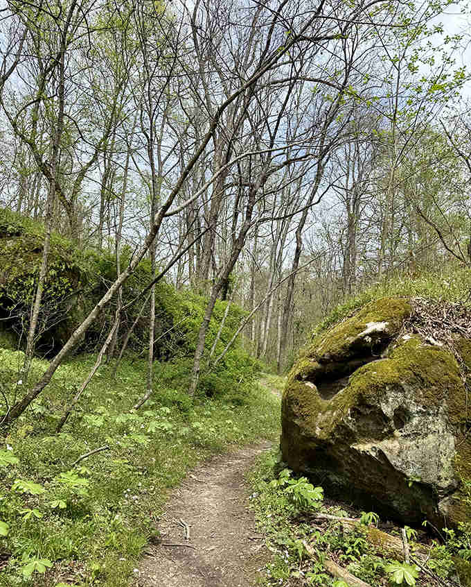 A winding path disappears into the wilderness, with moss-covered boulders standing like silent sentinels. Adventure beckons around every bend.