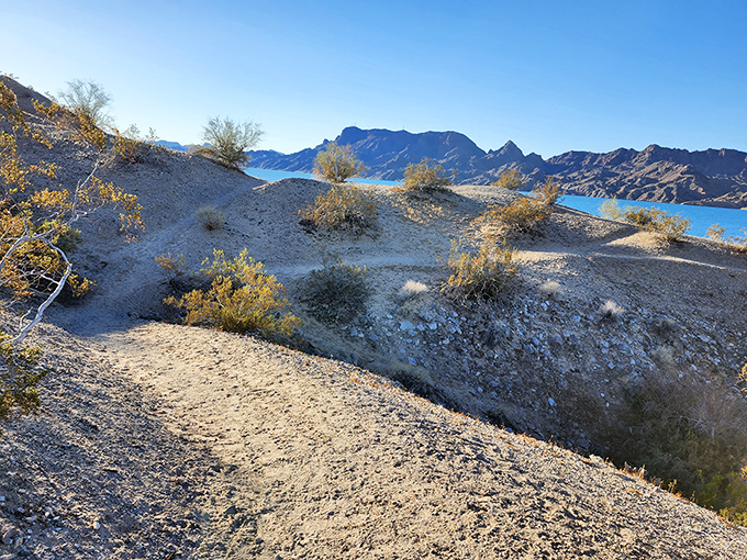 Desert trails wind through the landscape, offering hikers glimpses of Lake Havasu's brilliant blue waters between the rugged terrain.