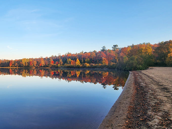 Standing on this rocky outcrop feels like being on top of the world, with miles of untouched wilderness stretching to the horizon.