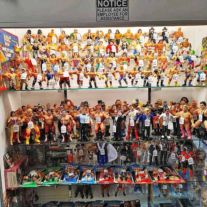 The wrestling figure collection could host its own Royal Rumble, with plastic musclemen from every era ready for action.