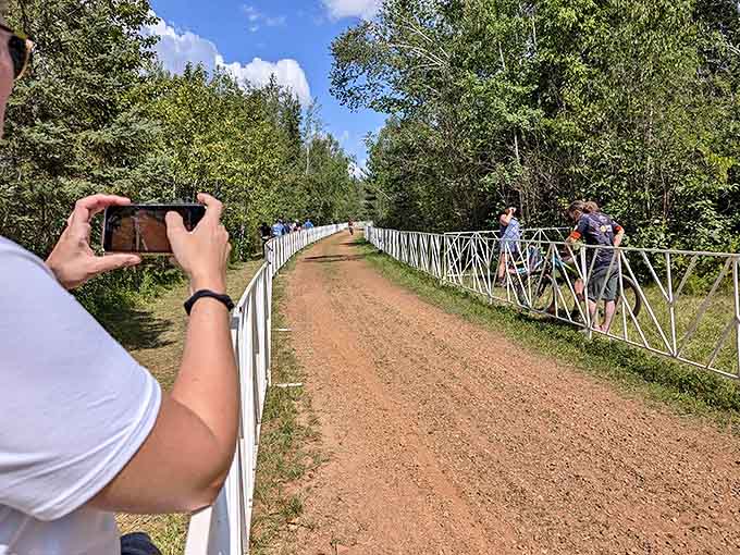 Forest sentinels stand guard along this rustic trail, whispering secrets of the magical blue waters just beyond the treeline.