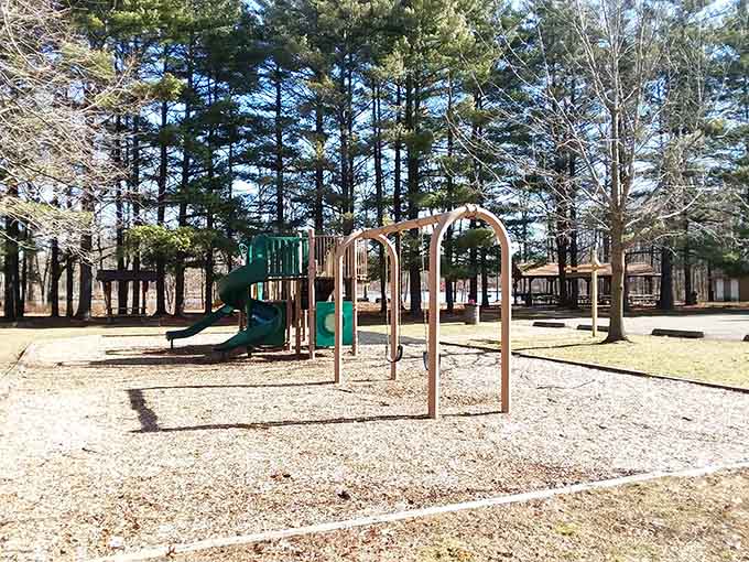 Burger Naan proves that fusion cuisine can thrive anywhere when creativity meets quality ingredients and fearless flavor combinations.