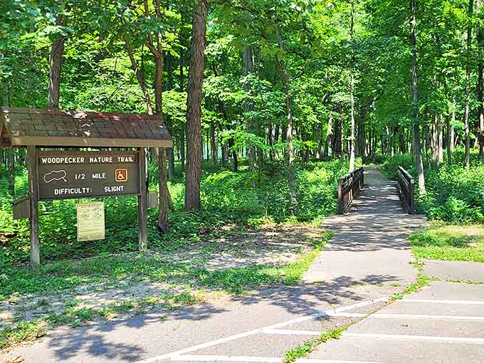 The Woodpecker Nature Trail promises adventure without requiring a sherpa, making it perfect for nature lovers of every fitness level and ambition.