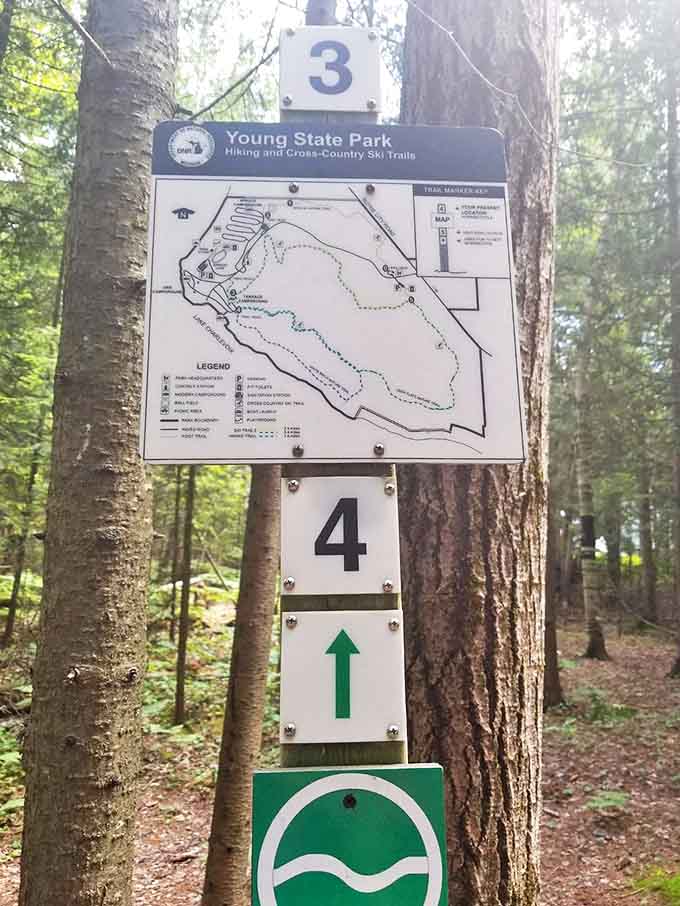 Trail maps guide adventurers through the park's diverse landscapes, though getting slightly lost is half the fun.