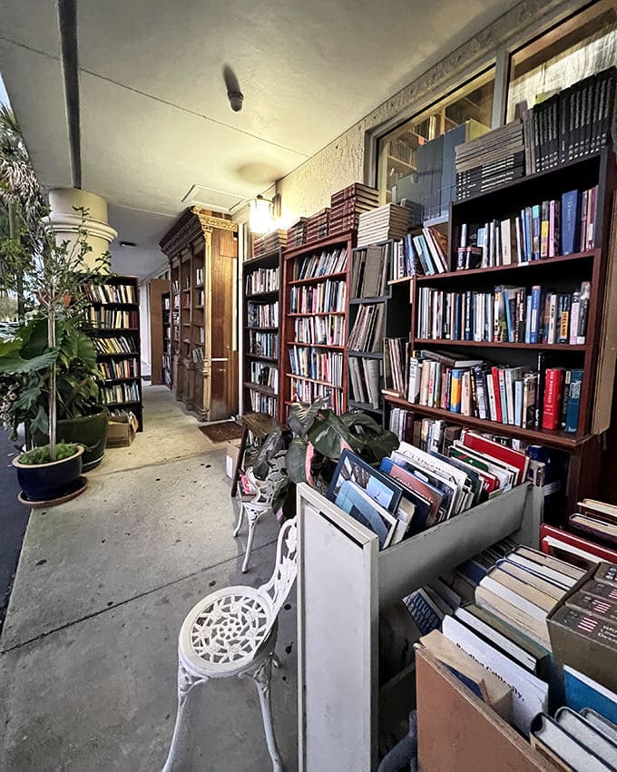 The outdoor reading area offers a tranquil spot to examine potential purchases, surrounded by potted plants and Florida sunshine.