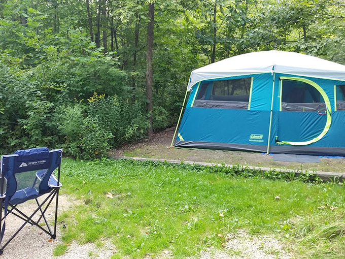 Camping doesn't get more authentic than this &ndash; fall asleep to owl serenades and wake up to dappled sunlight filtering through your tent.