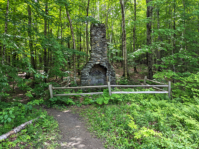 History whispers through stone: this abandoned fireplace tells tales of Vermont pioneers who once called these woods home.