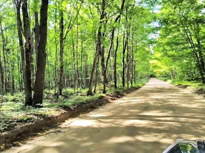 The approach to Wagner Falls feels like entering a storybook setting, where the ordinary world fades and natural magic takes over.
