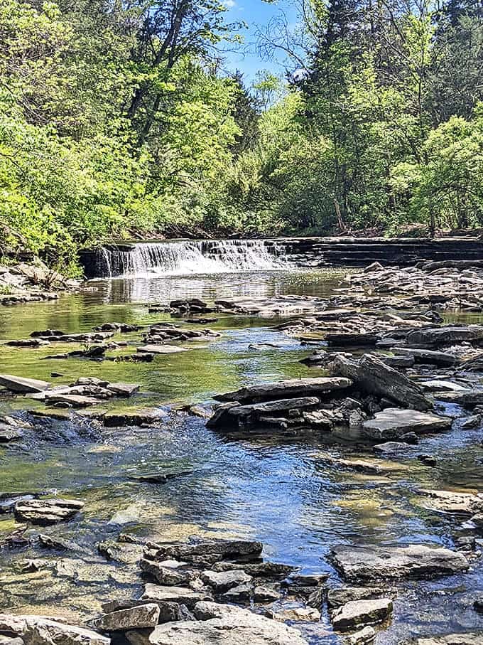 The distant waterfall view that makes you quicken your pace just a little, like spotting the dessert tray being wheeled toward your table.