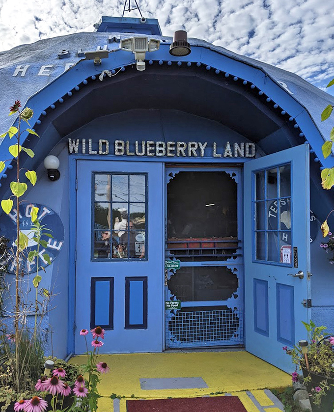The welcoming entrance to Wild Blueberry Land, where the blue theme begins before you even step inside.