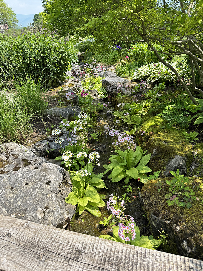 The rock garden blooms with delicate flowers, proving that even stones can have a soft side when properly accessorized.