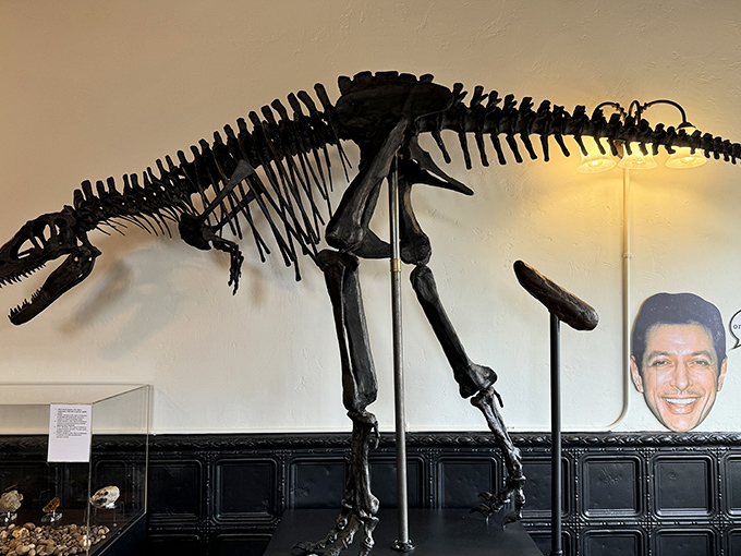 The imposing silhouette of this dinosaur skeleton reminds visitors of the magnificent creatures that roamed Earth&mdash;and contributed to the museum's collection.
