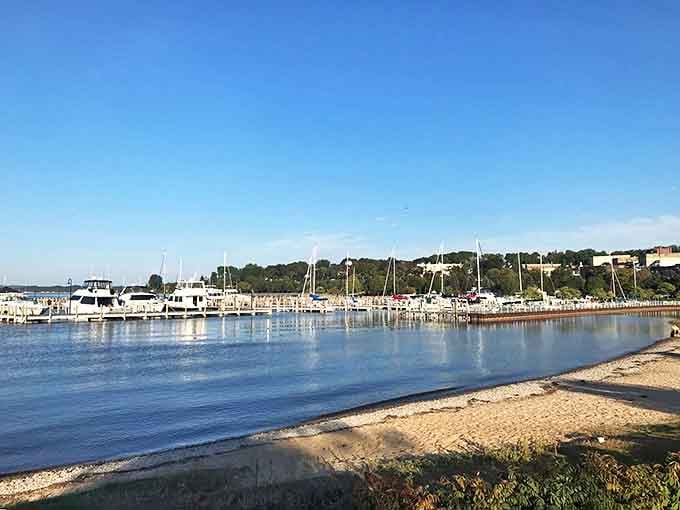 Boats stand at attention in Petoskey's harbor, like eager puppies waiting for their next adventure on Little Traverse Bay.