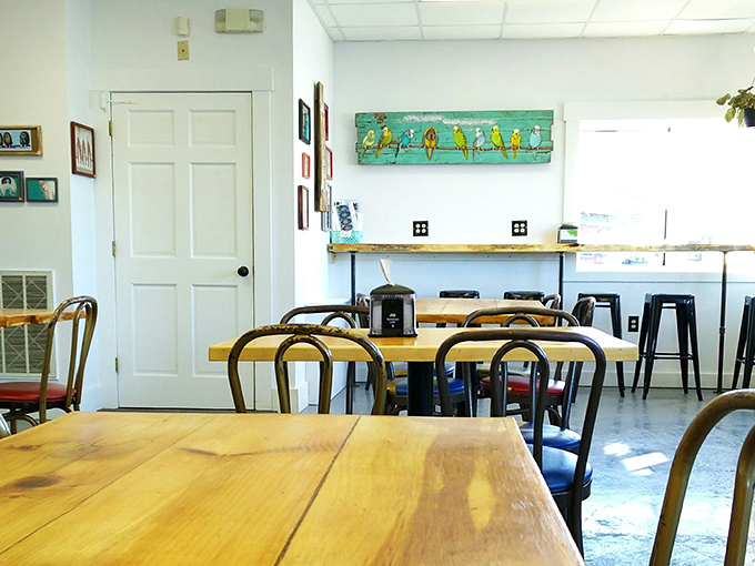 Morning light streams through windows, illuminating the simple, welcoming space where bagel dreams come true for lucky Maine visitors.