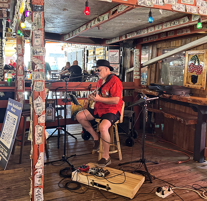 Live music transforms evenings into impromptu parties &ndash; where local musicians become part of the Cherry Pocket family rather than mere entertainment.