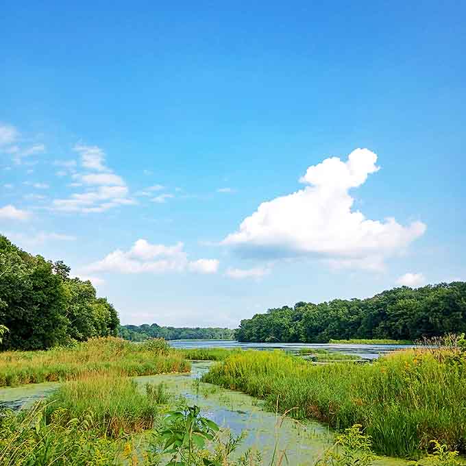 Lush vegetation in summer creates the kind of green that makes you question if your eyes have been working properly until now.
