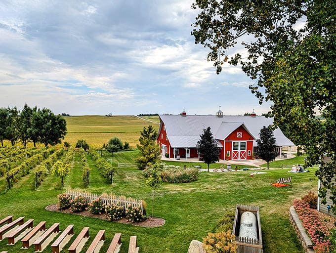 The farm's picturesque setting, with vineyards and rolling fields, creates a backdrop that makes every pizza taste even better.