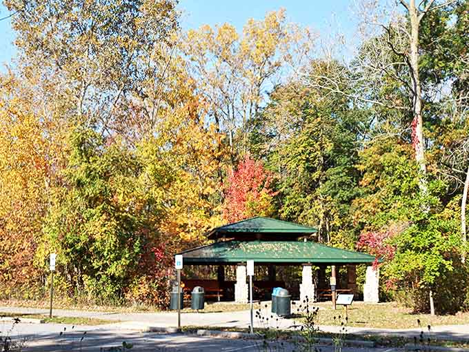 The park pavilion stands ready for family gatherings, with Lake Huron providing the kind of backdrop no event planner could arrange.