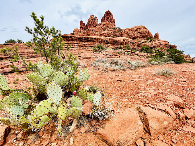 Prickly pear cactus stands guard at the base of these majestic formations, desert survivors in nature's toughest neighborhood.
