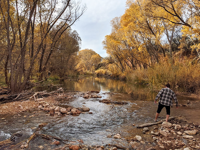 A visitor tests the waters of the Verde River, where smooth stones create natural crossings through the gentle autumn current.