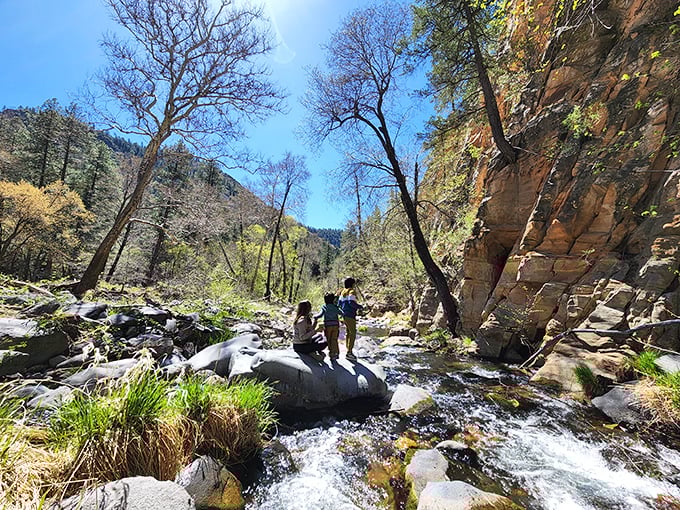 Hikers navigate sun-dappled creek beds, where adventure awaits around every bend and proper footwear is not just suggested but required.