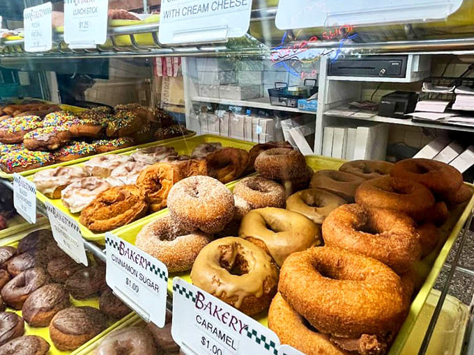 The morning lineup: Van's display case showcases donuts in their natural habitat, patiently waiting for the next customer to point and say "that one... no, that one."