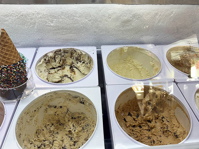 A frozen United Nations of flavors &ndash; each tub representing a different delicious country you'll want to visit again and again.