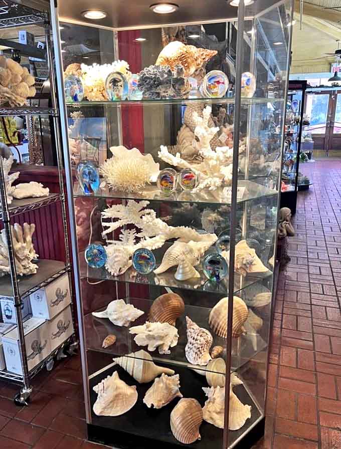 Beyond sweets, the Candymaker houses an impressive collection of seashells &ndash; nature's candy for the eyes rather than the taste buds.