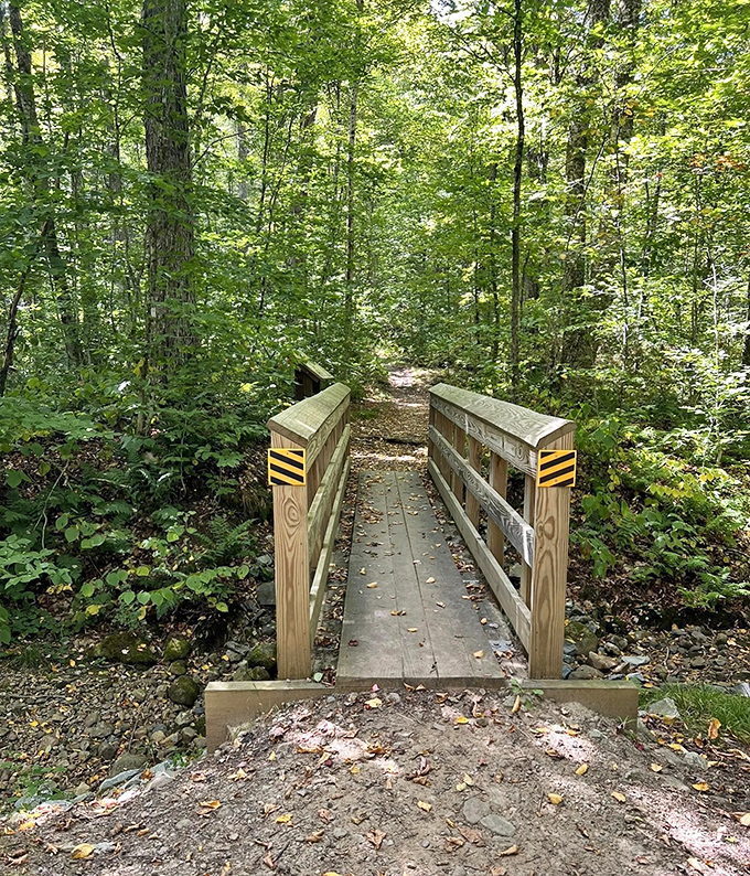 Crossing this bridge feels symbolic &ndash; leaving behind the noise of everyday life for the whispered secrets of the forest.
