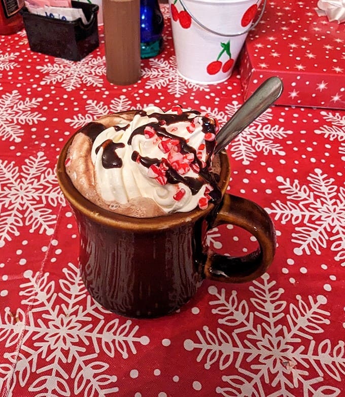 Hot chocolate that's practically a dessert – topped with real whipped cream and drizzled with chocolate sauce, it's winter comfort in a mug.