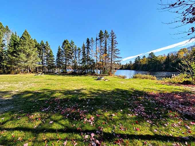 Nature's perfect picnic spot awaits beneath towering pines, where fallen leaves create a seasonal carpet more beautiful than any designer rug.