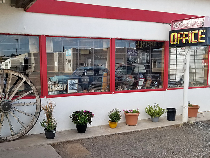 The motel office doubles as a mini-museum, where Route 66 memorabilia and vintage treasures await curious travelers.