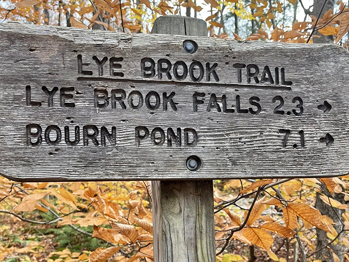 The wooden signpost&mdash;Vermont's version of GPS, with significantly more character and zero chance of recalculating your route mid-hike.