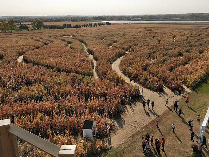 Families navigate the maze's twists and turns &ndash; creating memories with each wrong turn and triumphant shortcut discovery.