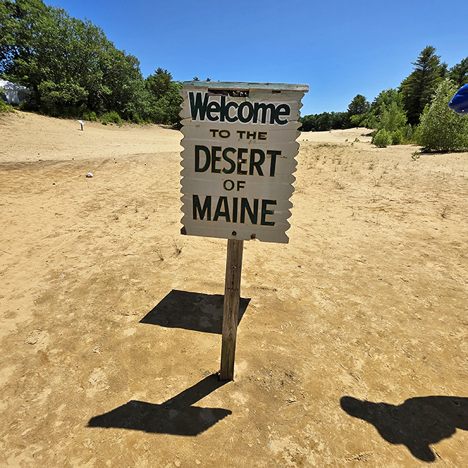 "Welcome to the Desert of Maine" &ndash; four words you never expected to read on a sign surrounded by nothing but sand.