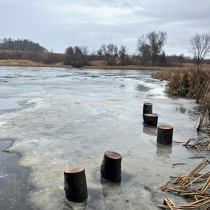 Winter transforms Arthur Park's sea caves into an otherworldly landscape, where frozen stillness creates nature's most patient art installation.1