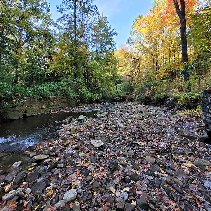 Creek stones tell geological stories spanning millions of years &ndash; nature's own library of Earth's ancient history.