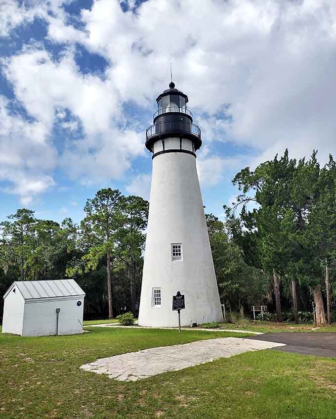 Amelia Island Lighthouse has been standing tall since the 1800s, still doing its job like the overachiever of the beacon world.