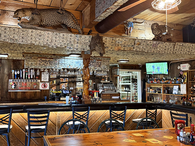 The bar area continues the wildlife theme with dollar bills creating a currency canopy above thirsty travelers.