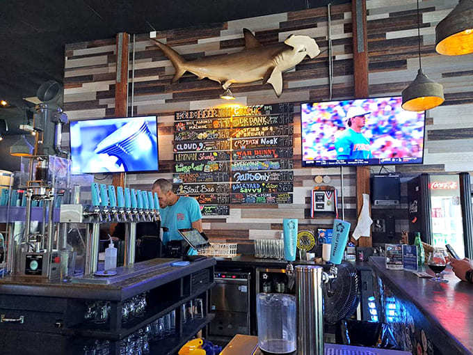 A hammerhead shark keeps watch over the bar, perhaps dreaming of pizza instead of its usual marine diet.
