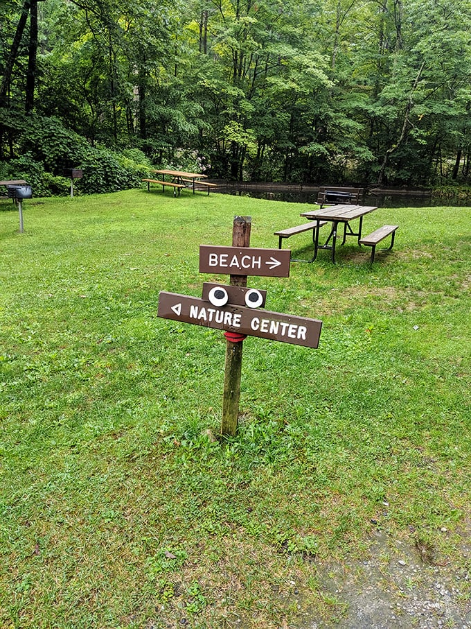 Decision time: This whimsical signpost presents the day's toughest choice – beach relaxation or nature education? Why not both?