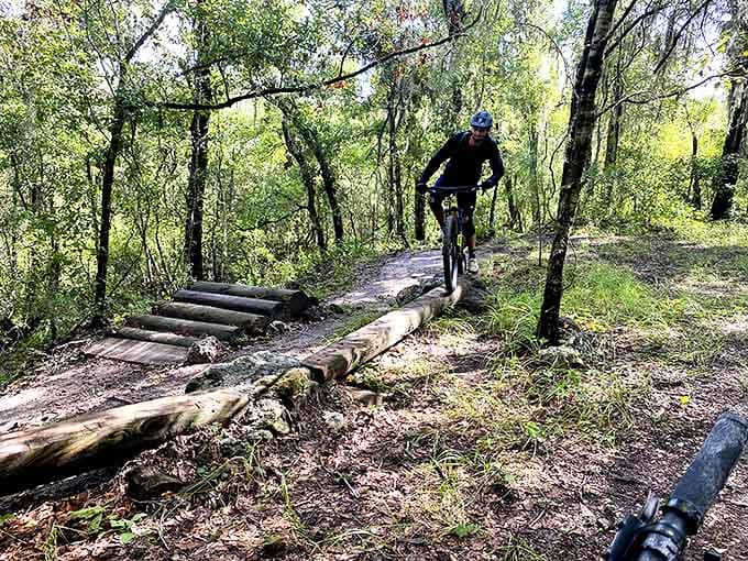 Cycling the rail trail provides an intimate encounter with Vermont's landscape, where every turn reveals new vistas worth pausing for.