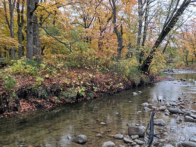 Autumn paints the landscape in colors so vibrant they almost seem Photoshopped, except this is gloriously real.