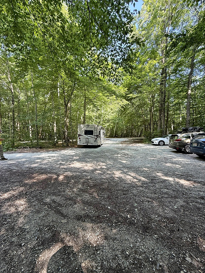 The parking area nestled among towering trees &ndash; civilization's last outpost before the wilderness begins.
